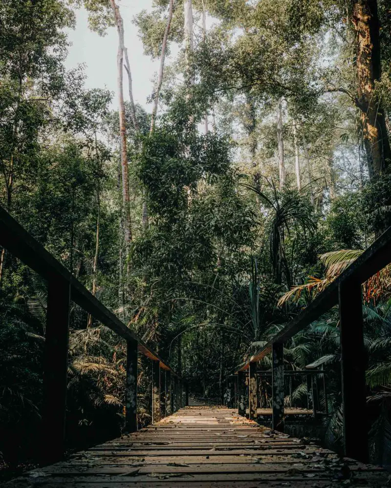 How to Visit Addo National Park: A Complete Self-Drive Safari Guide