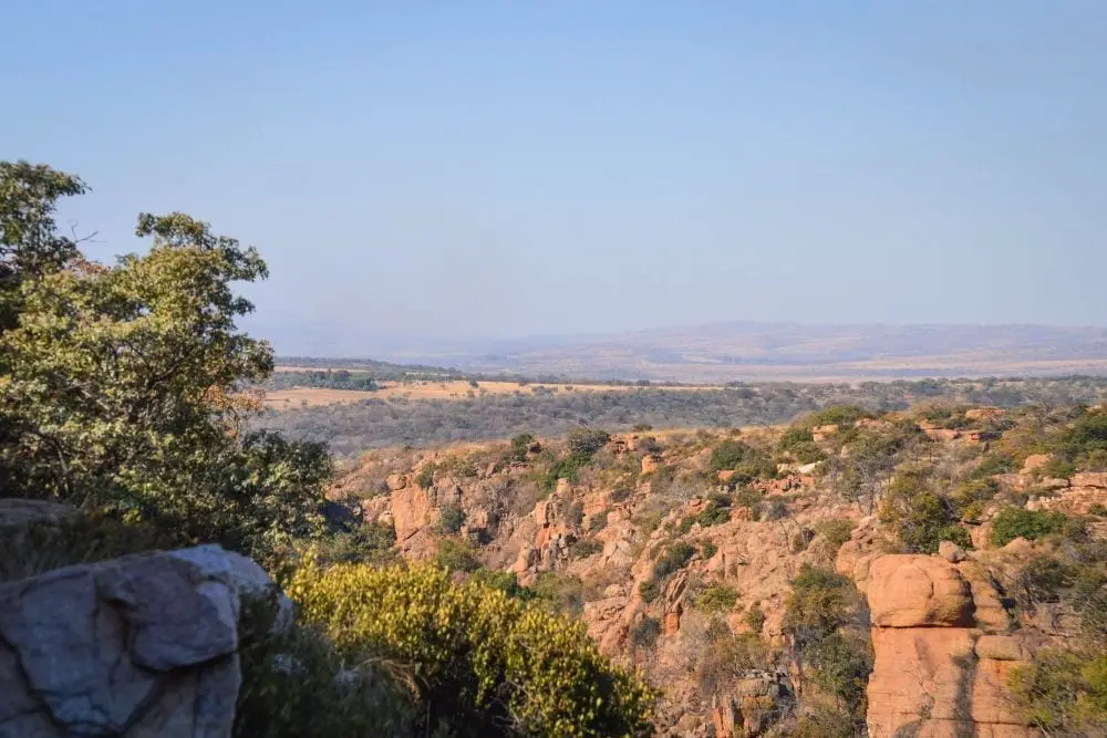 Flying High at the Magalies Canopy Tour • Wanderlust Movement | A South ...