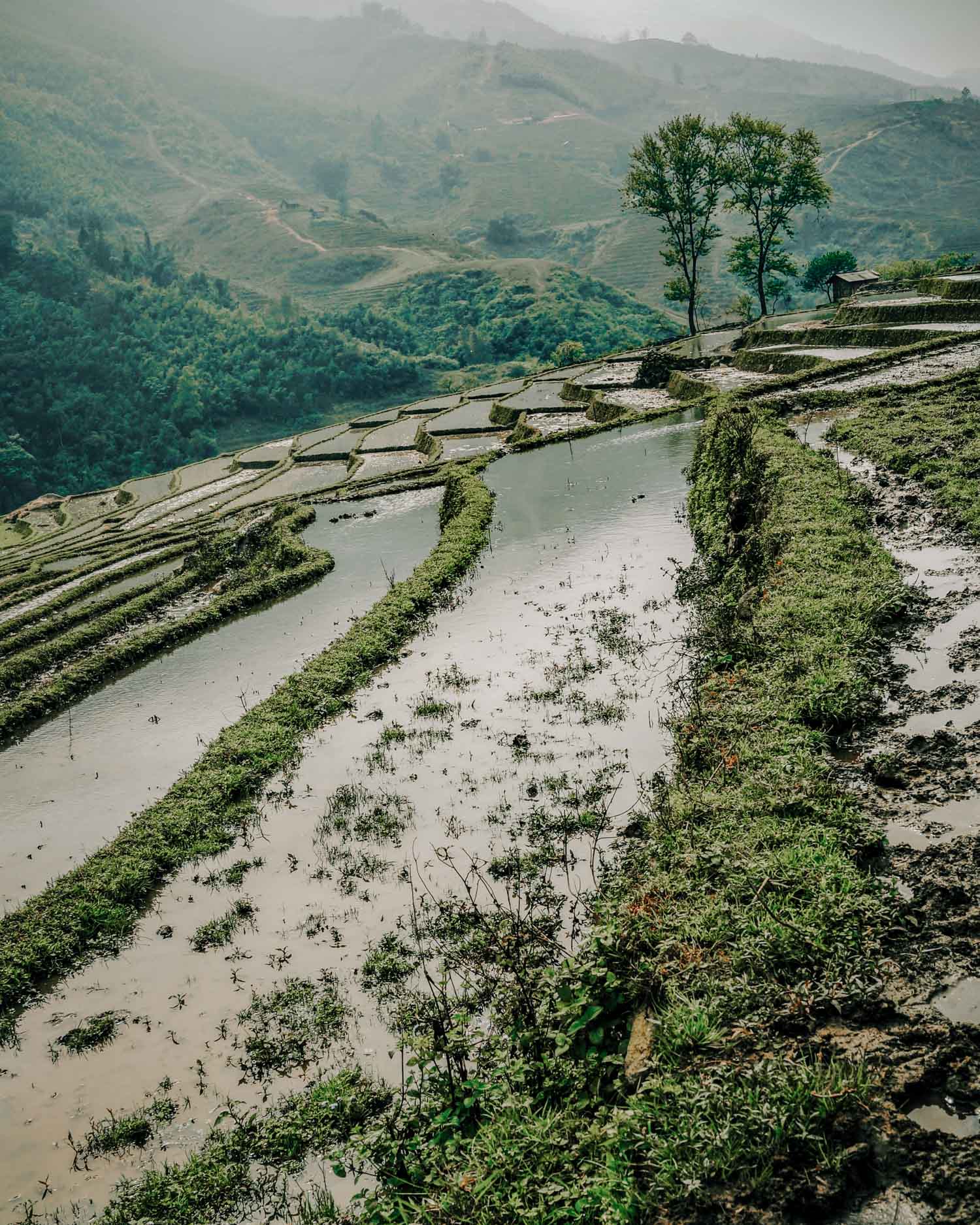 What You Need to Know About Trekking in Sapa, Vietnam