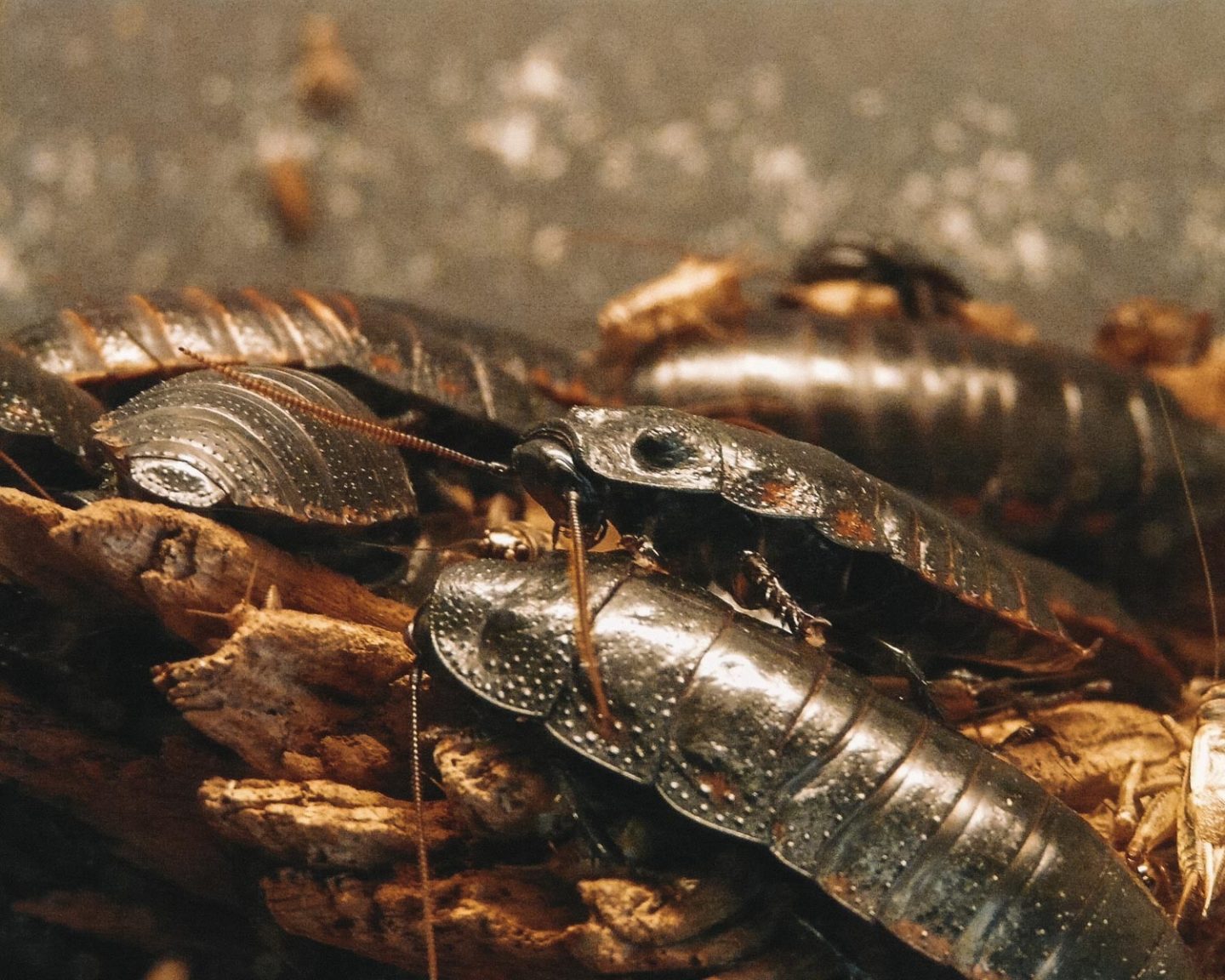 The Most Terrifying Travel Destinations That Will Give You Nightmares