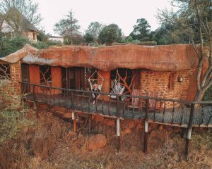Staying at Antbear Lodge in South Africa • Wanderlust Movement