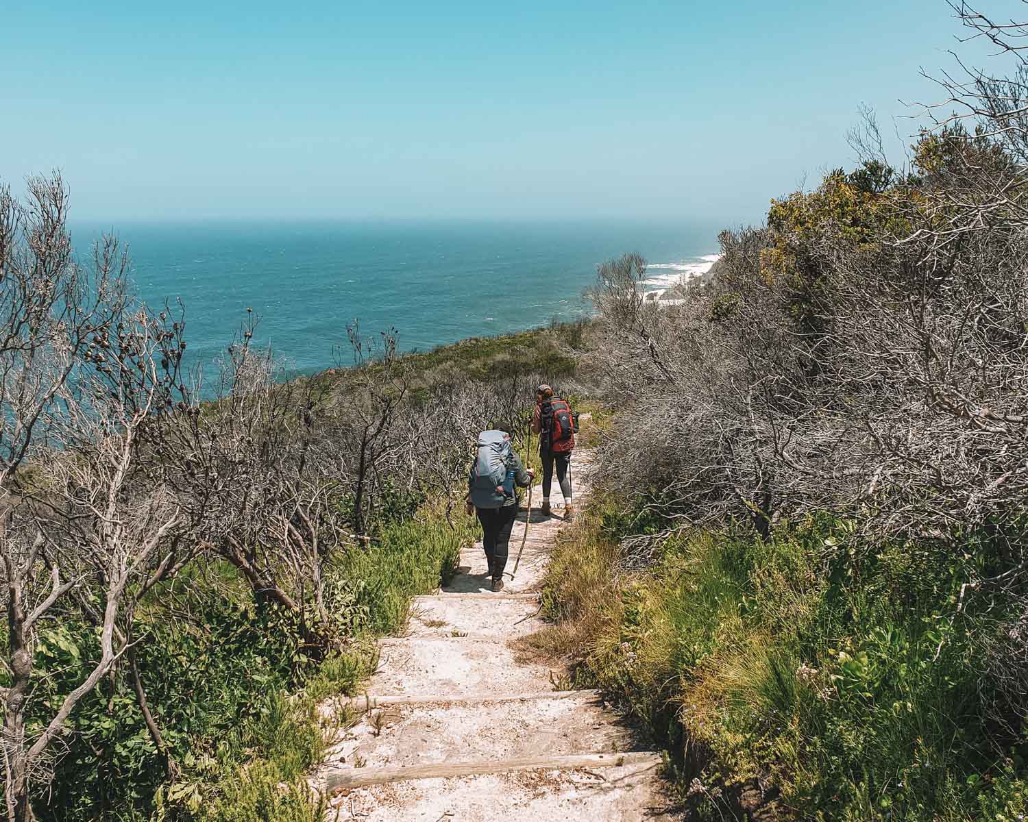 Hiking The Otter Trail in South Africa: Absolutely Everything You Need ...