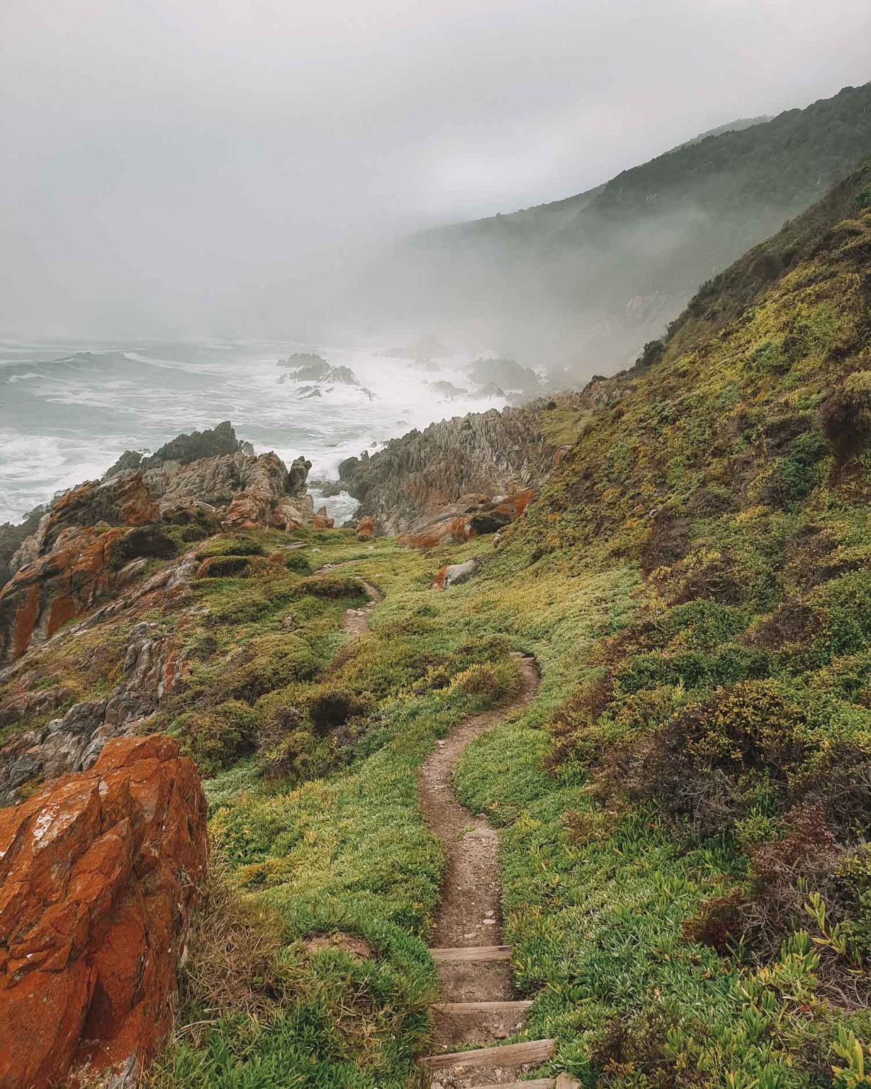 Hiking The Otter Trail in South Africa: Absolutely Everything You Need ...