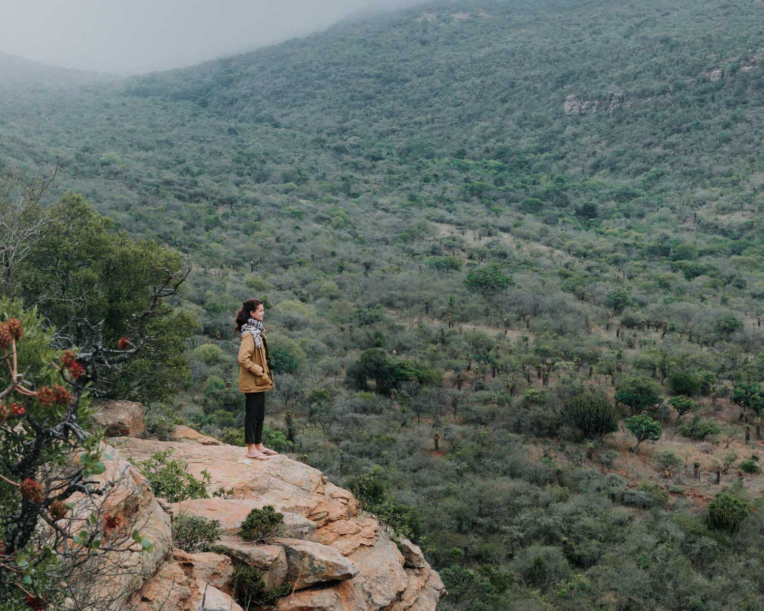 Babanango Game Reserve: Where Conservation & Community Meet