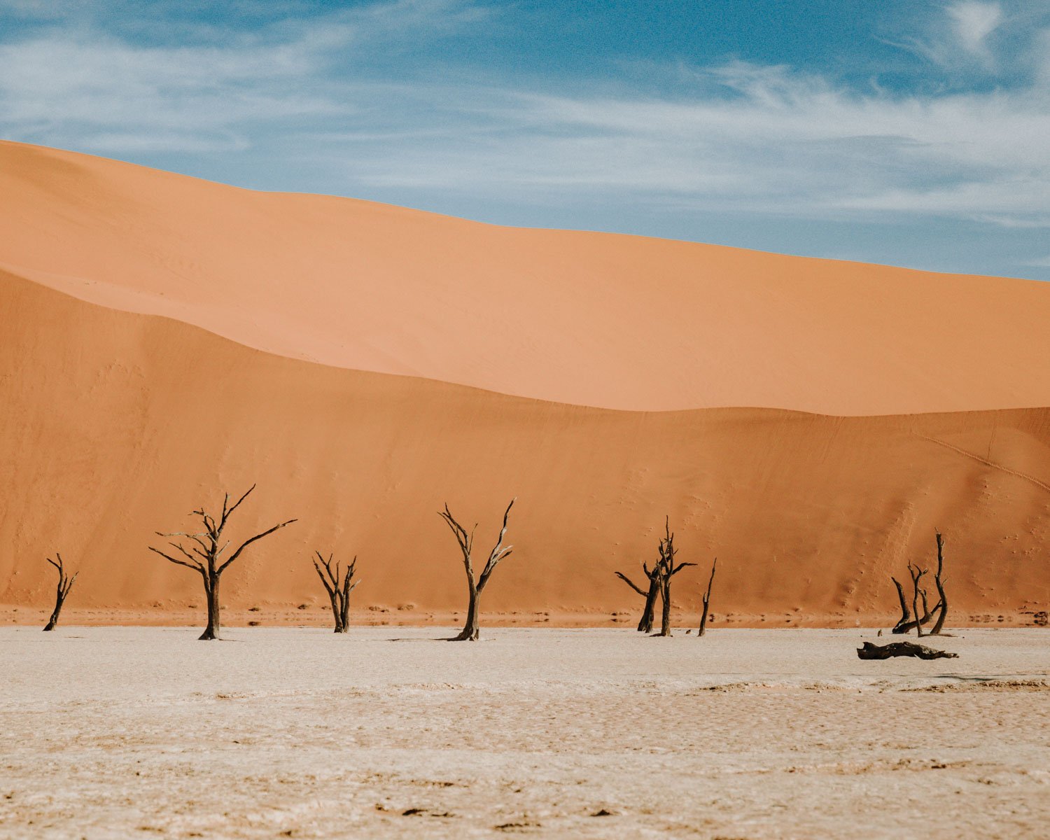 Staying at Desert Grace: A Top Luxury Eco Lodge in Namibia