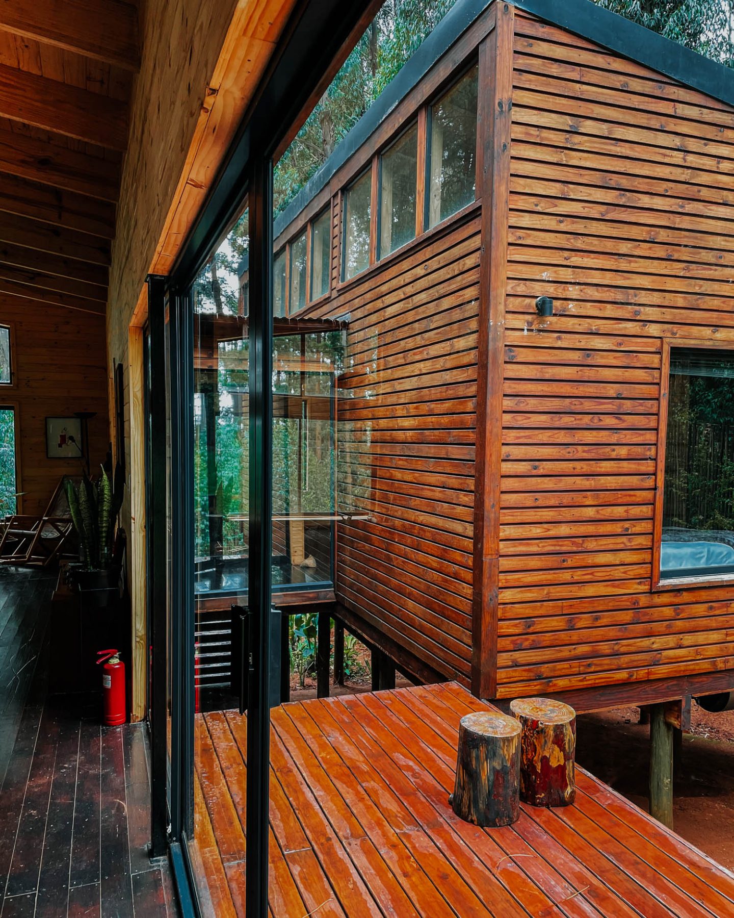 Stay In A Secluded & Charming Forest Cabin In Dullstroom