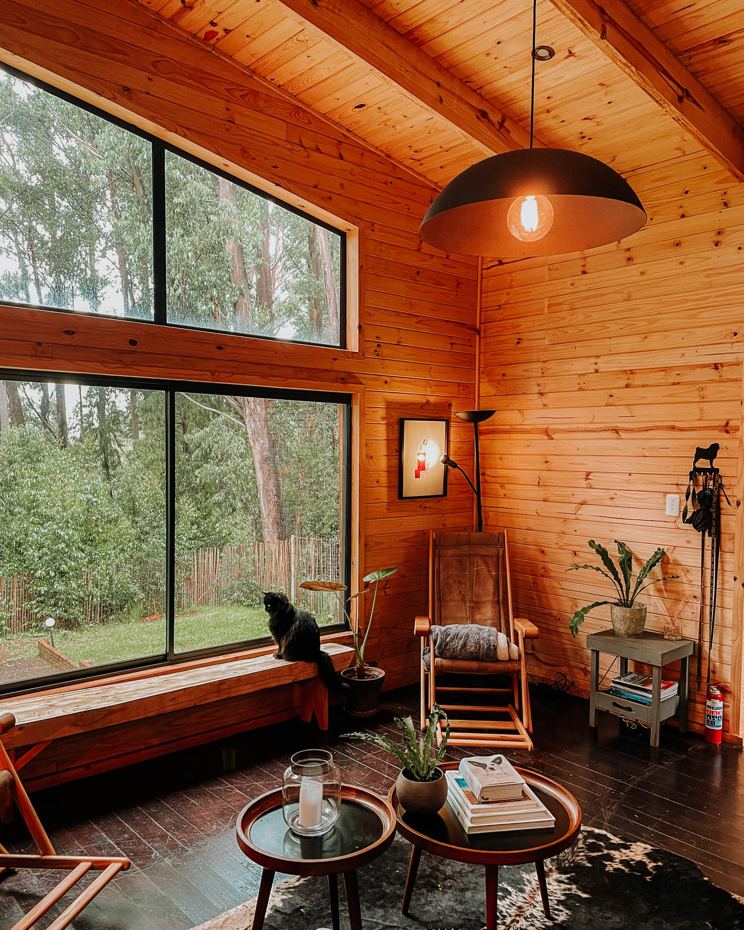 Stay In A Secluded & Charming Forest Cabin In Dullstroom