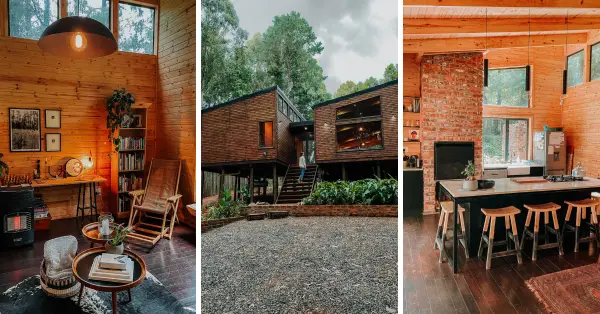 Stay In A Secluded & Charming Forest Cabin In Dullstroom