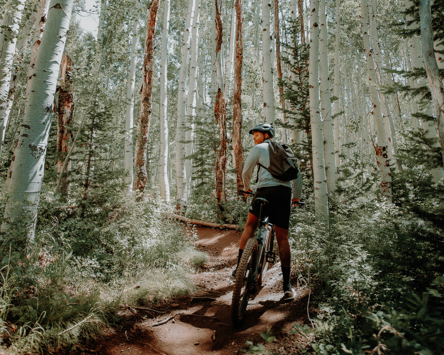 Stay In A Secluded & Charming Forest Cabin In Dullstroom