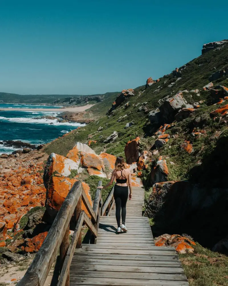 Hiking Robberg Nature Reserve: Everything You Need to Know