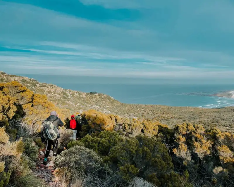 The Ultimate Cape of Good Hope Hiking Guide • Wanderlust Movement