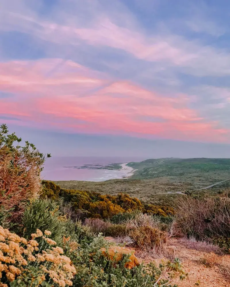 The Ultimate Cape of Good Hope Hiking Guide • Wanderlust Movement | A ...