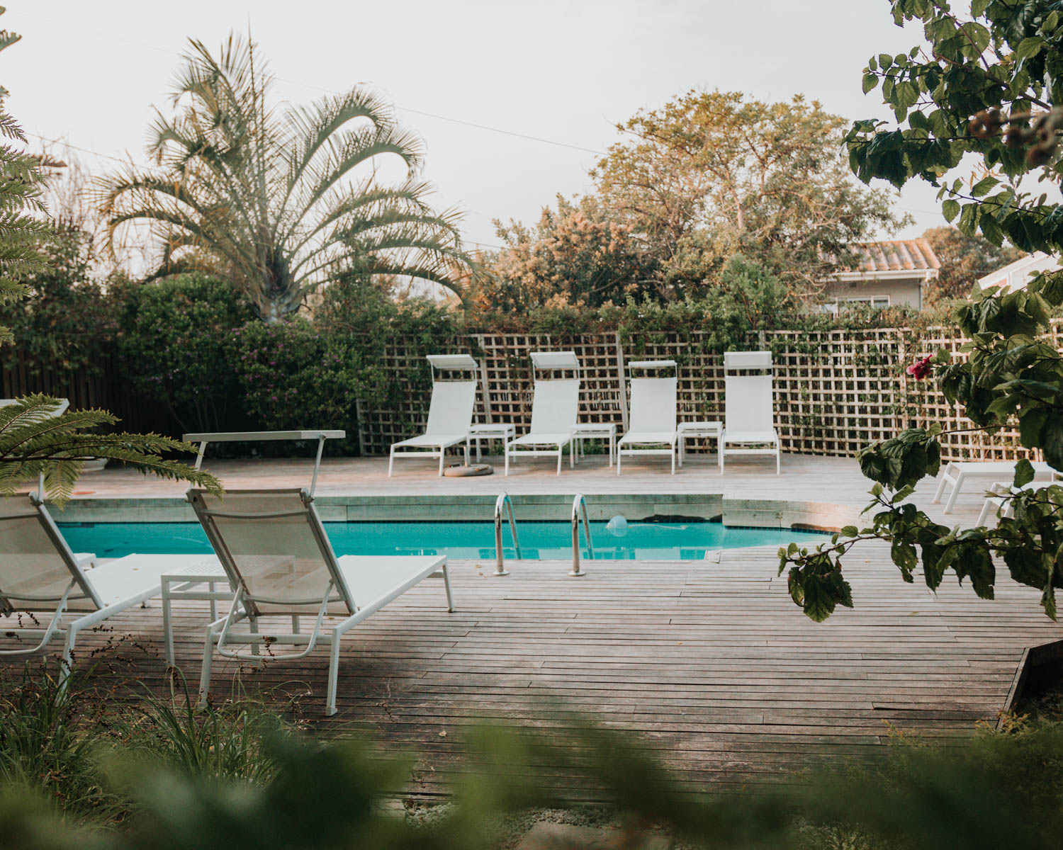 Amanzi Lodge Review: A Luxurious Knysna Escape