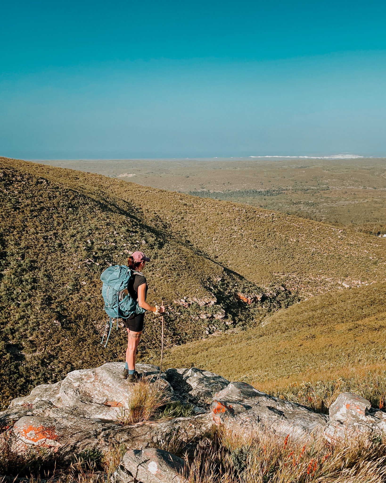 Whale Trail Hike in South Africa: Everything You Need to Know