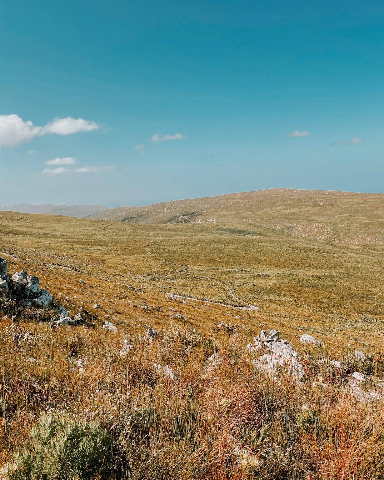 Whale Trail Hike in South Africa: Everything You Need to Know