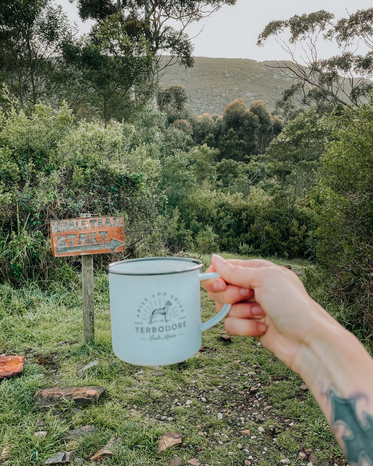 Whale Trail Hike in South Africa: Everything You Need to Know