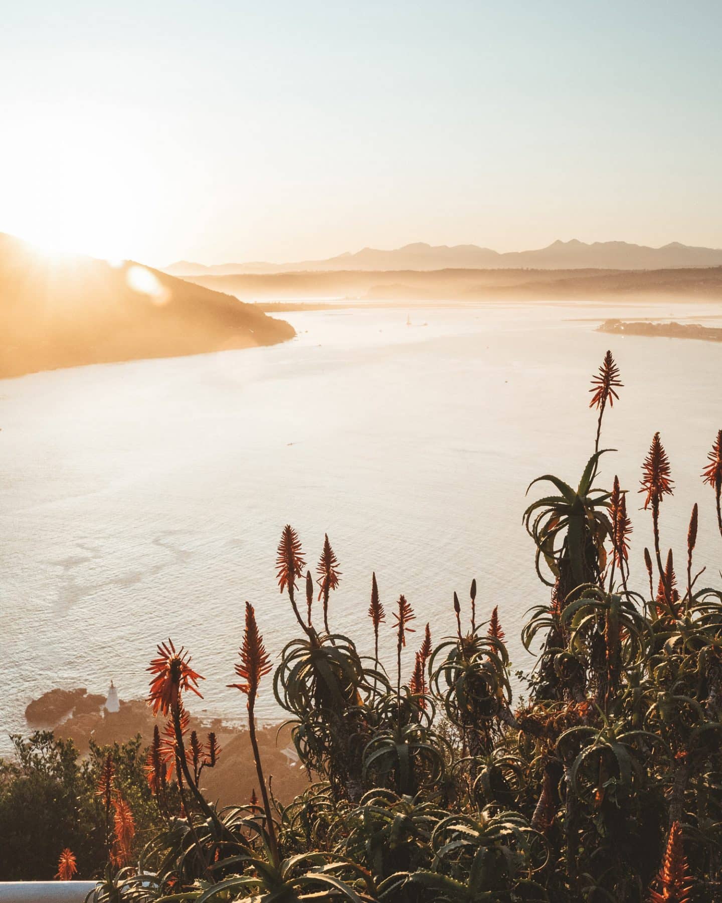 10 Unique & Fun Things to Do in Knysna, South Africa