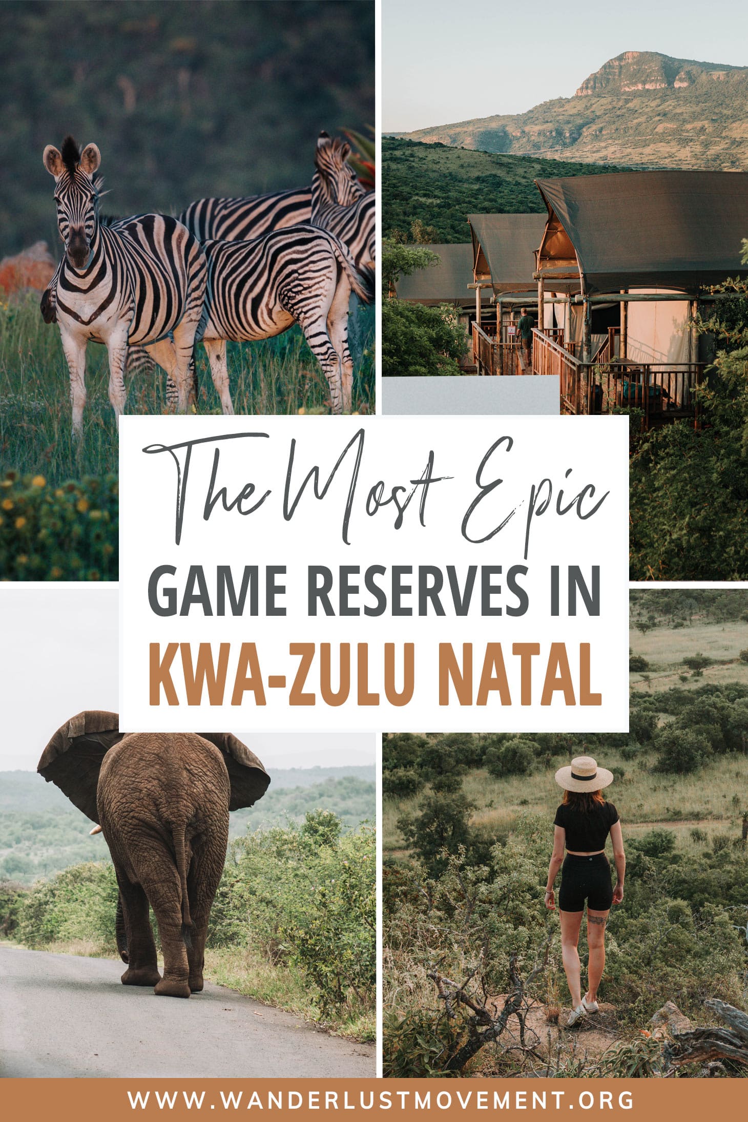 The Best Game Reserves in KZN for an Unforgettable Safari Experience