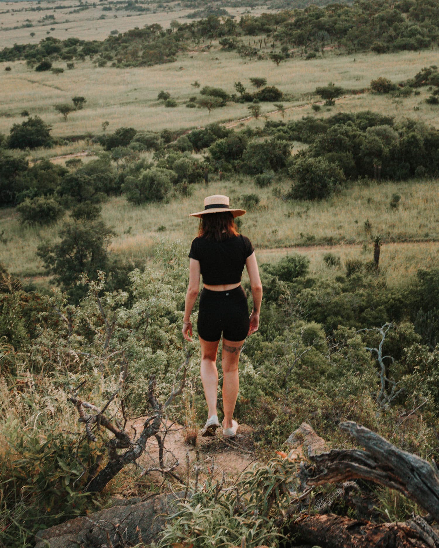 The Best Game Reserves in KZN for an Unforgettable Safari Experience