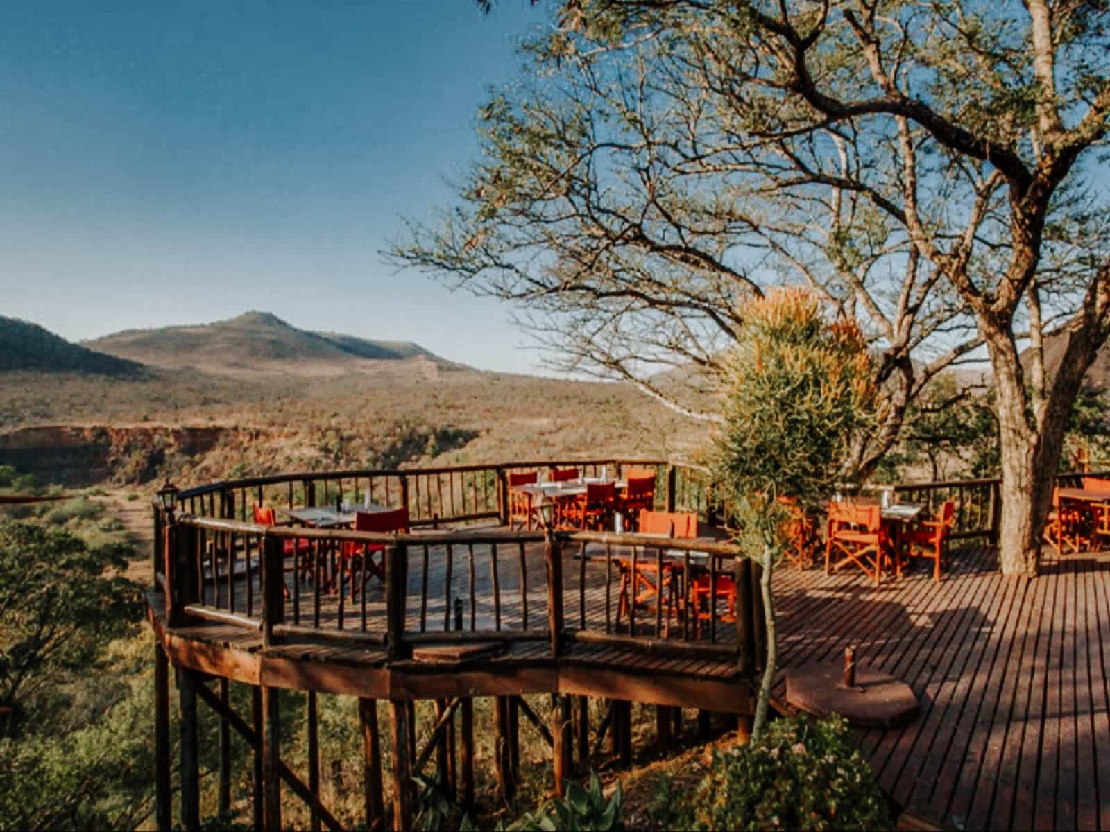 The Best Game Reserves in KZN for an Unforgettable Safari Experience