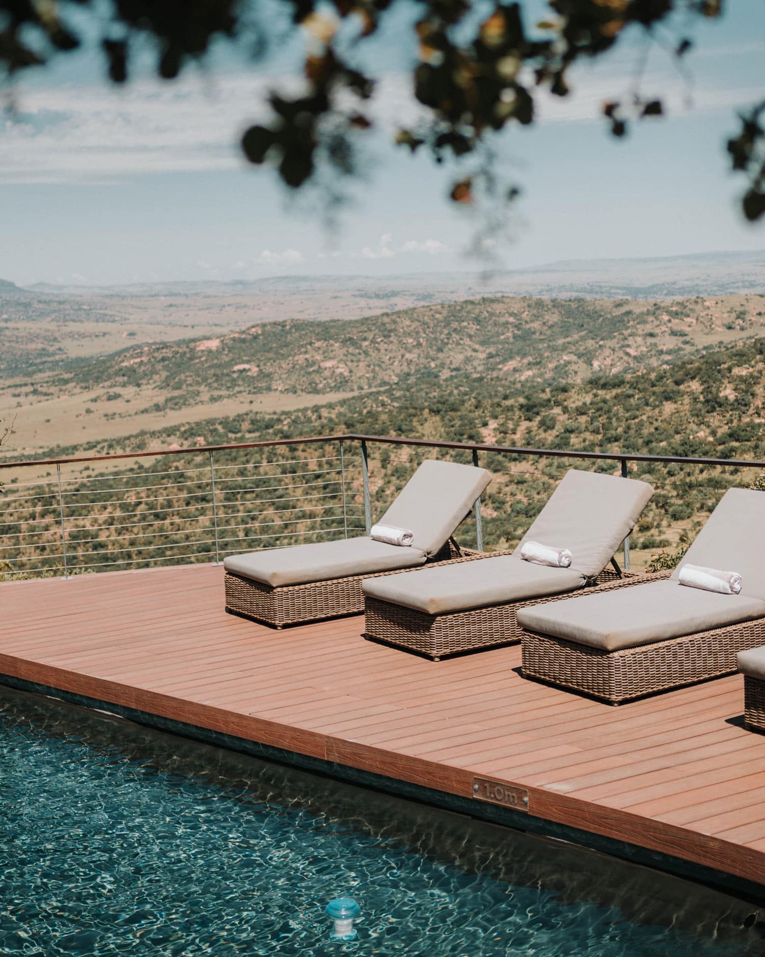 The Best Game Reserves in KZN for an Unforgettable Safari Experience