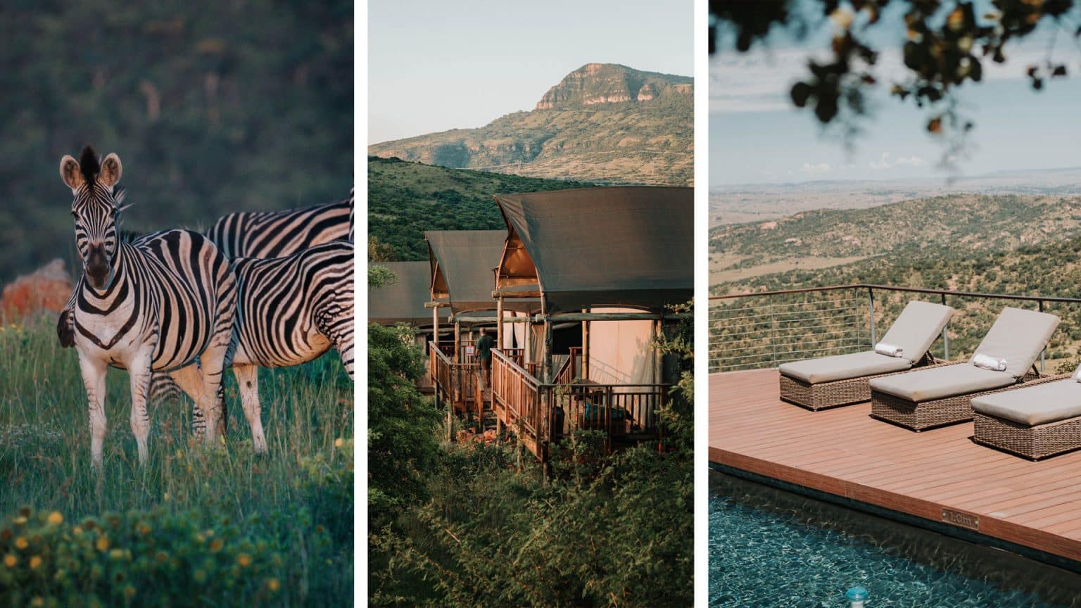 The Best Game Reserves in KZN for an Unforgettable Safari Experience
