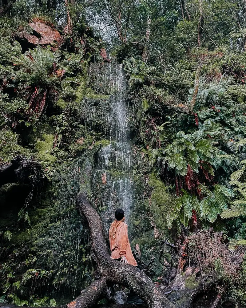 7 Best Waterfalls In Cape Town (And Nearby) That Are Worth The Hype