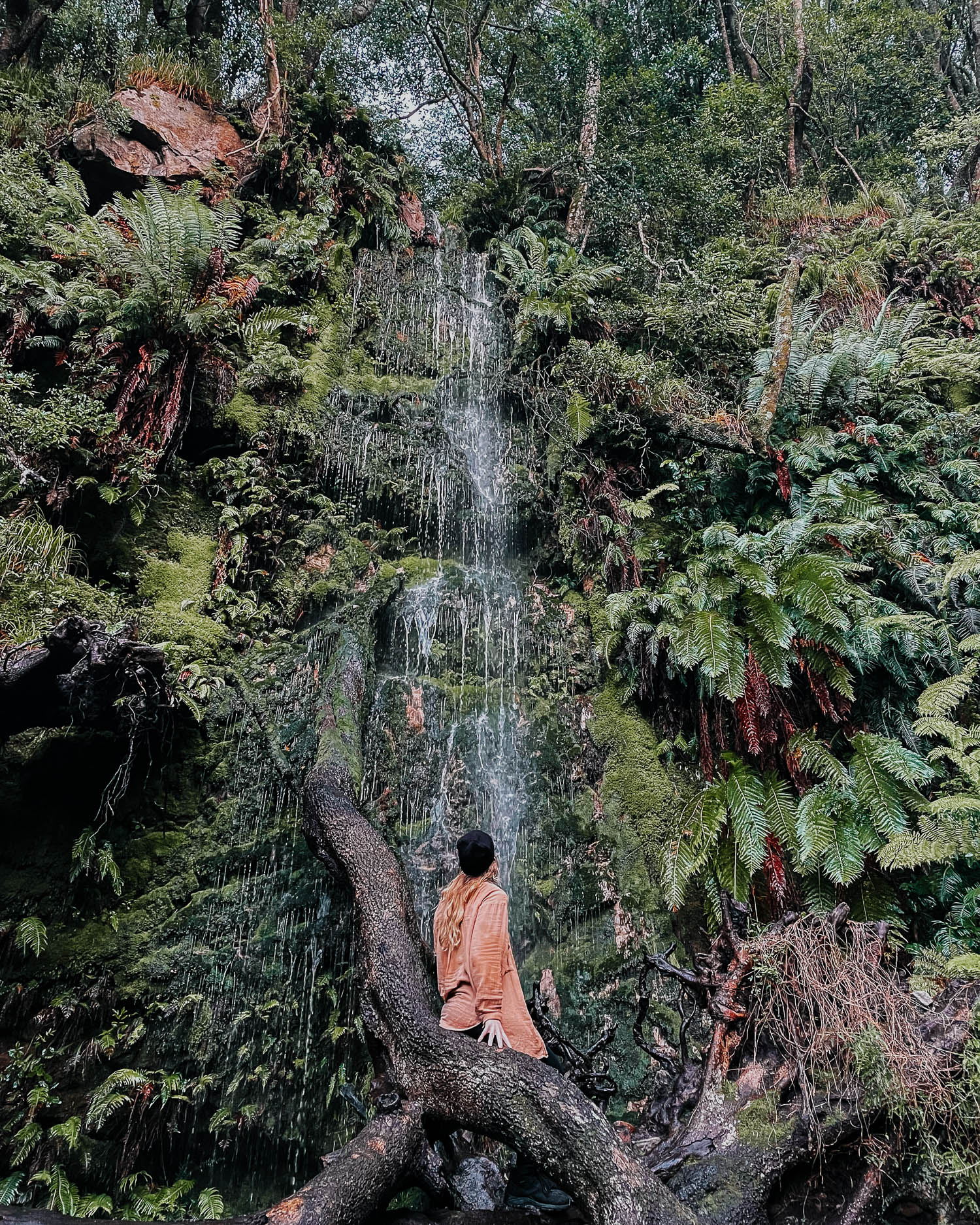 6+ Waterfalls In Cape Town (And Nearby) That Are Worth The Hype