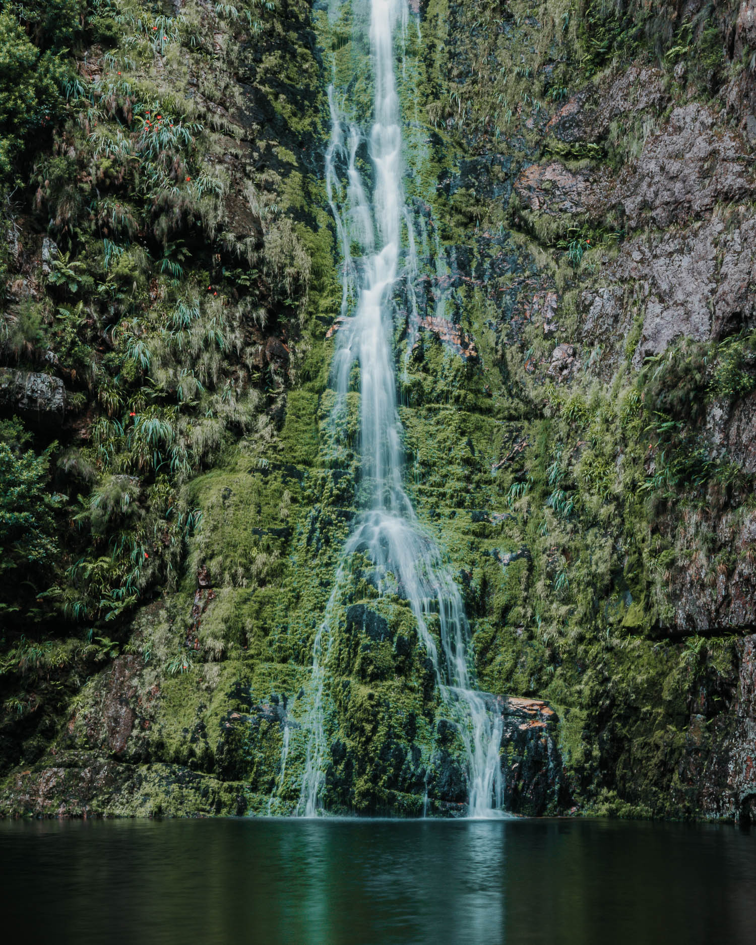 7 Best Waterfalls In Cape Town (And Nearby) That Are Worth The Hype